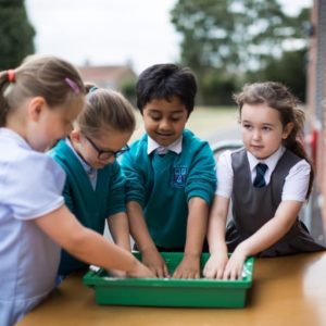 Our curriculum by year group - Wainwright Primary Academy