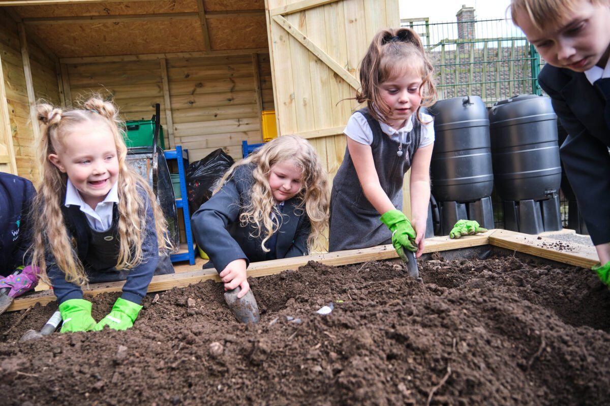 Wainwright Primary Academy's stunning garden transformation with RHS ...